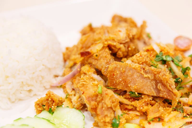 Rice mix chicken grilled stock photo. Image of dining - 32722306