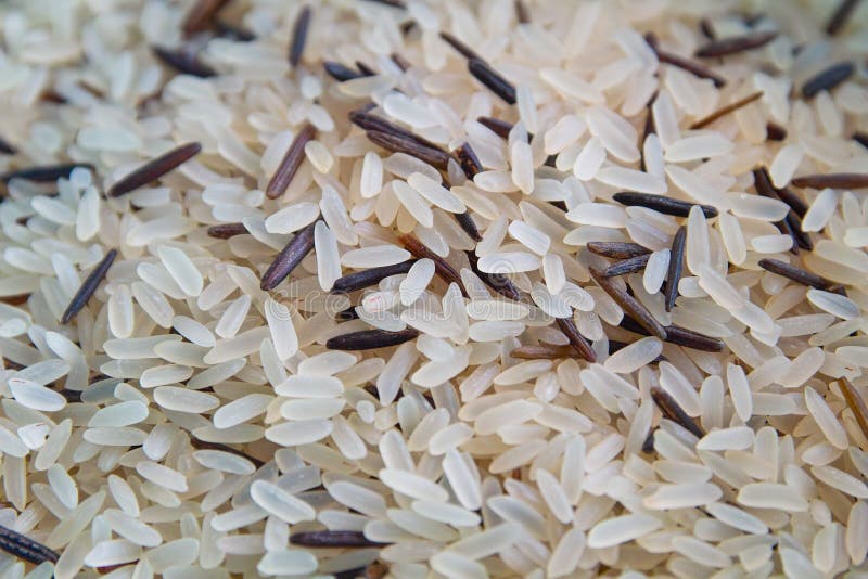 Rice mix stock image. Image of grain, black, cooking - 31200325