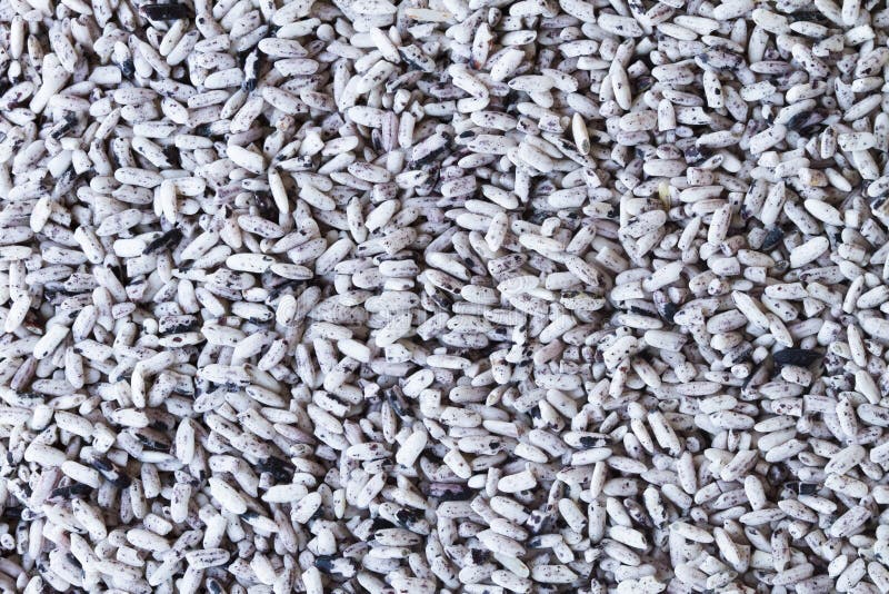 Rice mixture. stock image. Image of detail, chinese, grain - 52442987