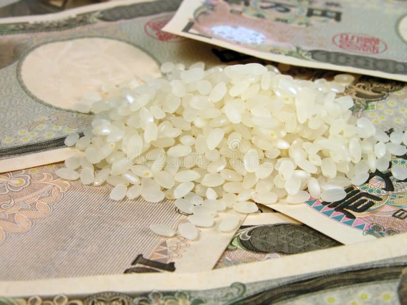 Rice and money stock image. Image of bill, metaphor, industry - 548329