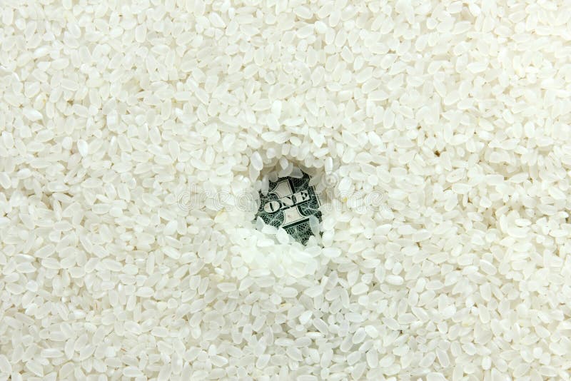 Rice and money stock image. Image of dollar, america - 67849319