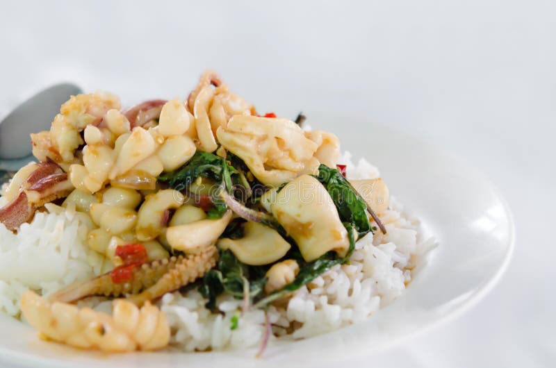 Rice and octopus stock image. Image of food, seafood - 32943491