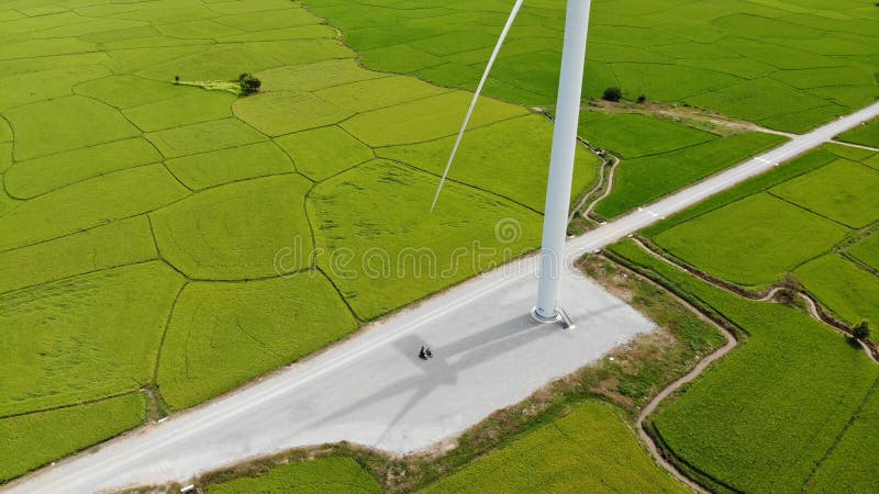 Rice paddle field editorial image. Image of cool, beauty - 196293875