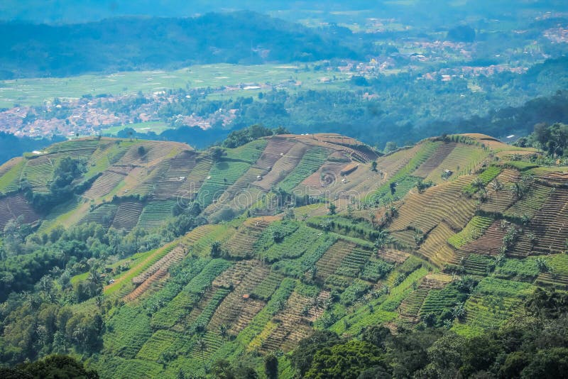 Rice paddy field valley stock photo. Image of valley - 139215312