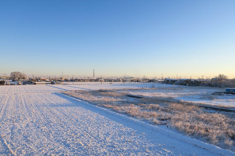 Rice Paddy Fields Covered with Snow in Kasukabe Stock Image - Image of ...