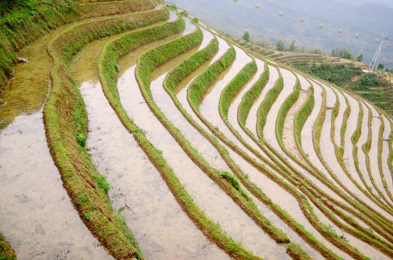 Rice Paddy Fields Terraces in South China Stock Image - Image of china ...