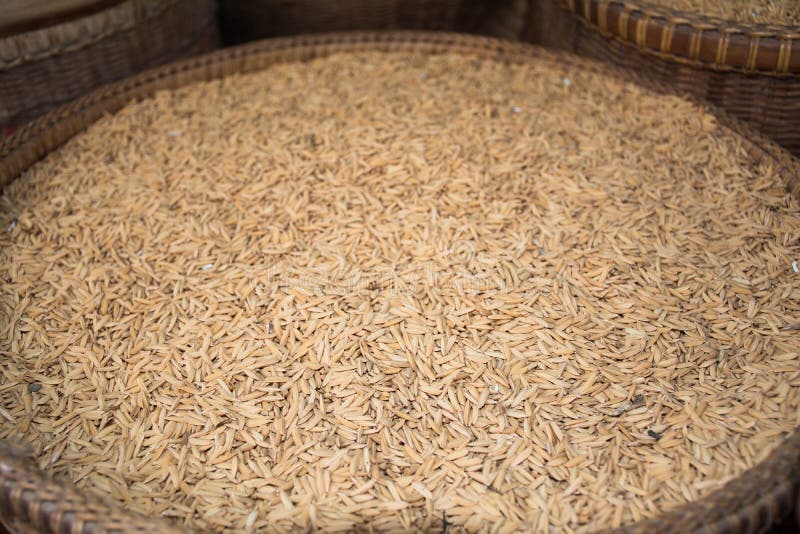 Rice seeds in basket stock image. Image of golden, fiber - 23115309