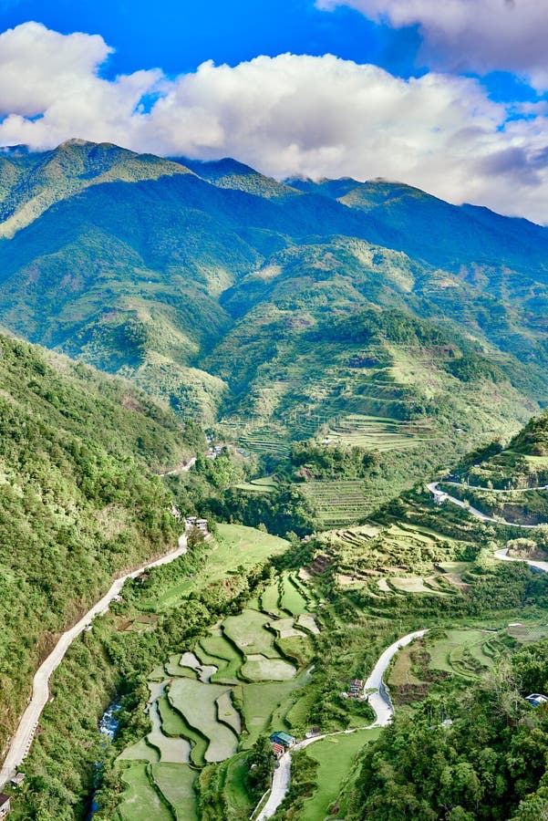Rice Paddy Terrace Fields Philippines Stock Image - Image of landmark ...