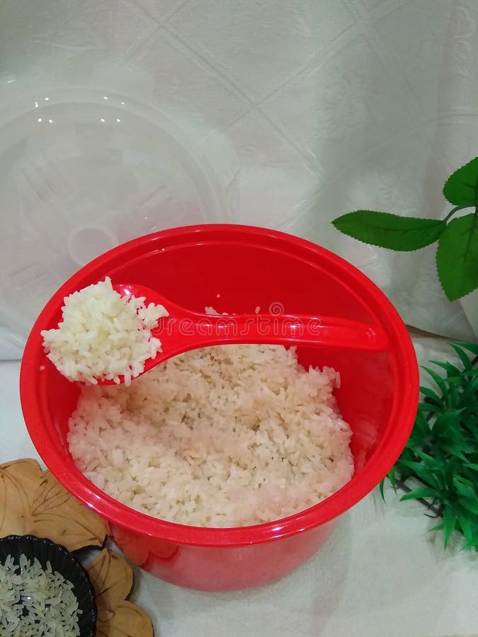 Rice Is A Source Of Useful And Nutritious Components Stock Image Image Of Components Side