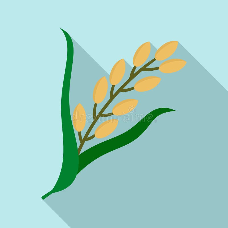 Rice Plant Icon, Flat Style Stock Vector - Illustration of natural ...