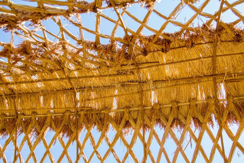 Rice plant roof. stock image. Image of crop, summer, rice - 83535675