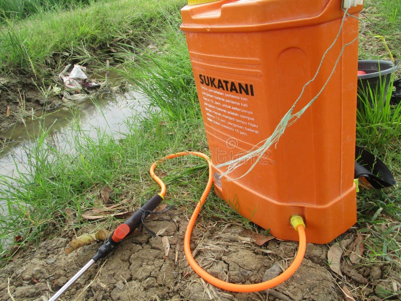 Rice plant sprayer stock image. Image of arthropod, rice - 254245089