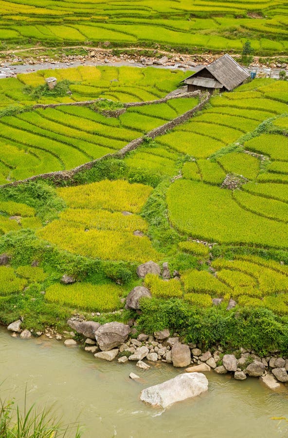 Rice terraces stock image. Image of mountain, background - 27990133