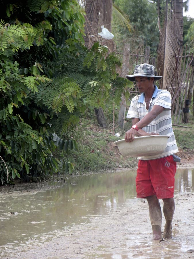Rice Planting editorial photo. Image of field, cambodia - 41146571