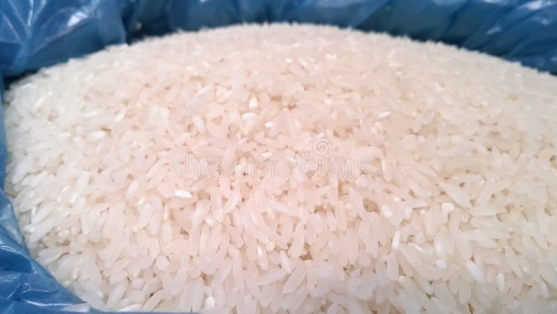 Rice in a Plastic Container Close Up Stock Image - Image of seafood ...