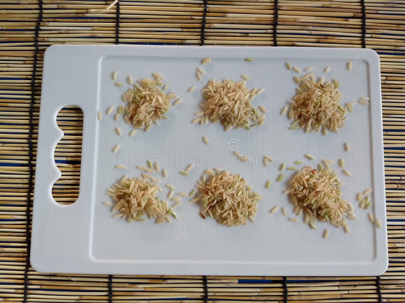 Rice on plastic cut board stock image. Image of sheet - 144390743