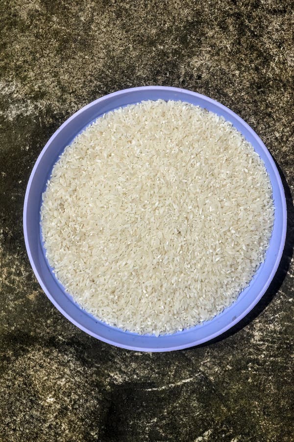 Rice on a Plastic Plate on Rock Background Stock Image - Image of ...