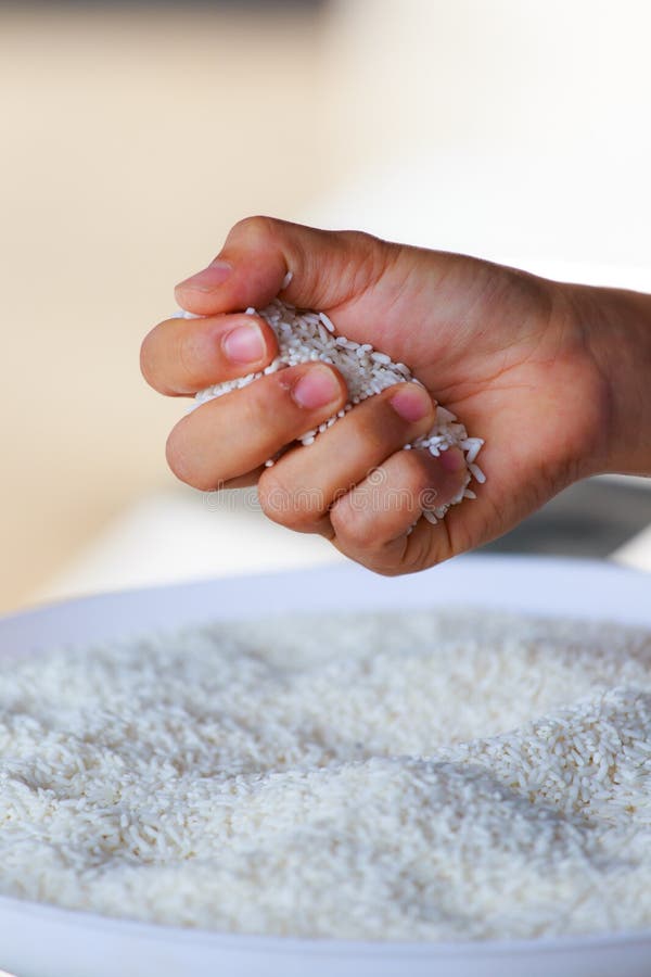 Rice stock image. Image of dropping, rice, humanitarian - 50967559