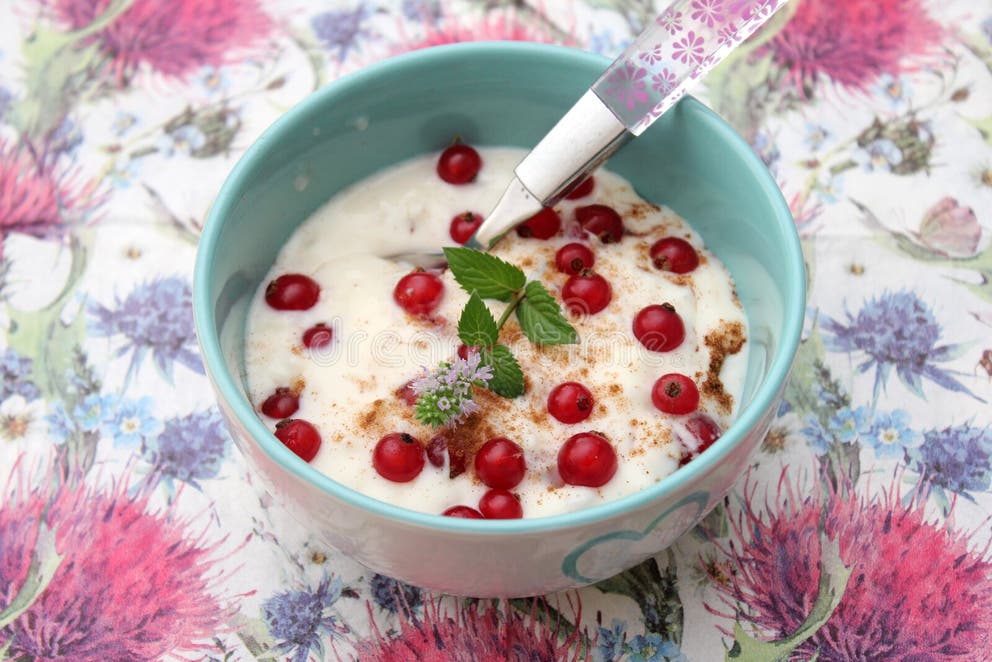 Rice pudding with berries stock photo. Image of food - 112356152