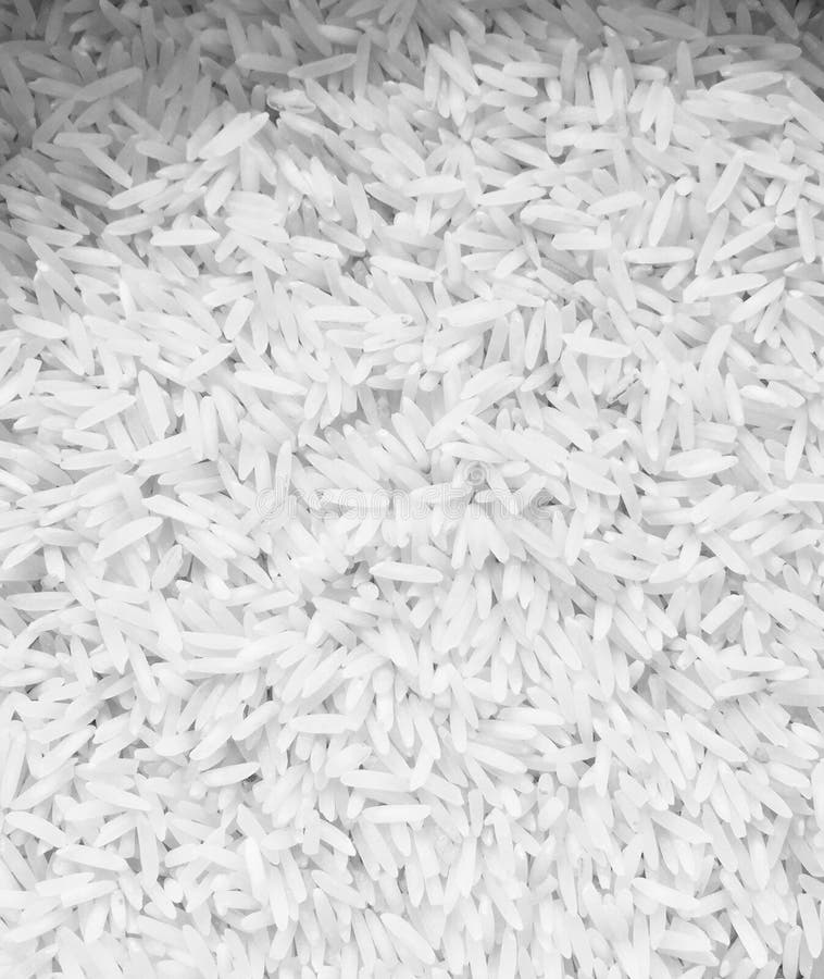 Rice of punjab stock photo. Image of rice, punjabpakistan - 188703692