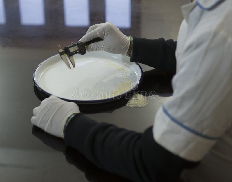 280 Rice Quality Test Stock Photos - Free & Royalty-Free Stock Photos ...