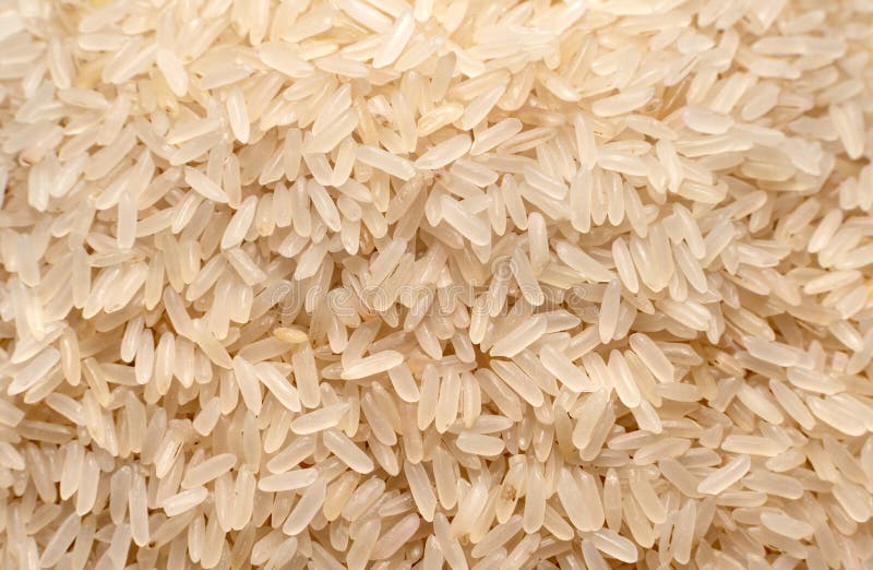 Rice. Raw Rice Grains in Close-up. Healthy and Balanced Nutrition Stock ...