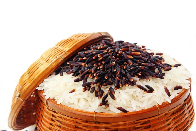 Rice and rice berry stock photo. Image of cook, nature - 57049434