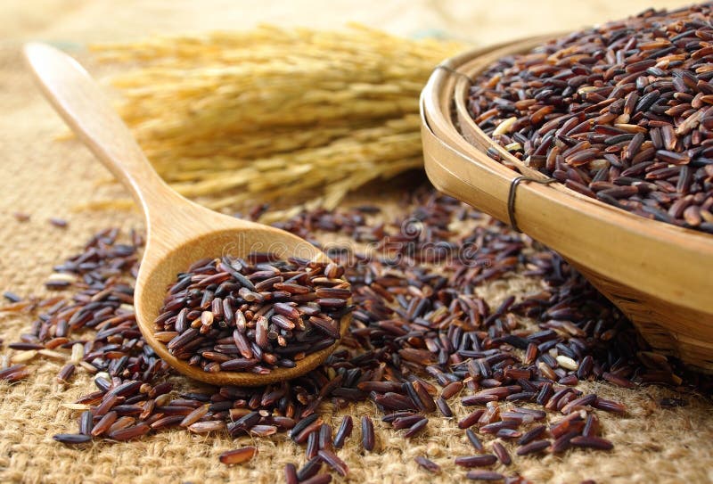 Rice Farming, Vietnam stock photo. Image of rice, work - 31871624