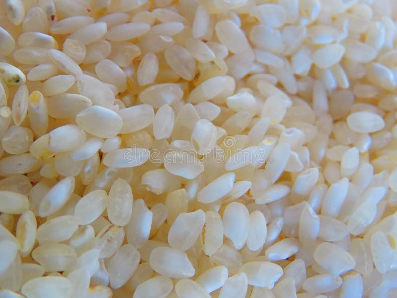 Rice stock photo. Image of risotto, type, grains, round - 85958194