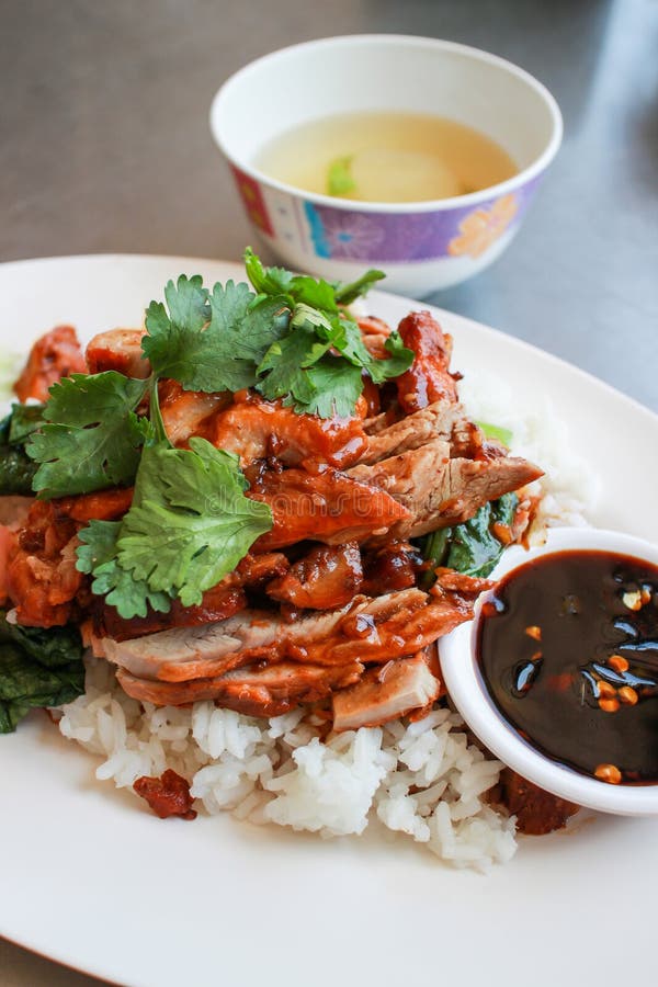 Rice with roast duck stock image. Image of photograph - 61596355