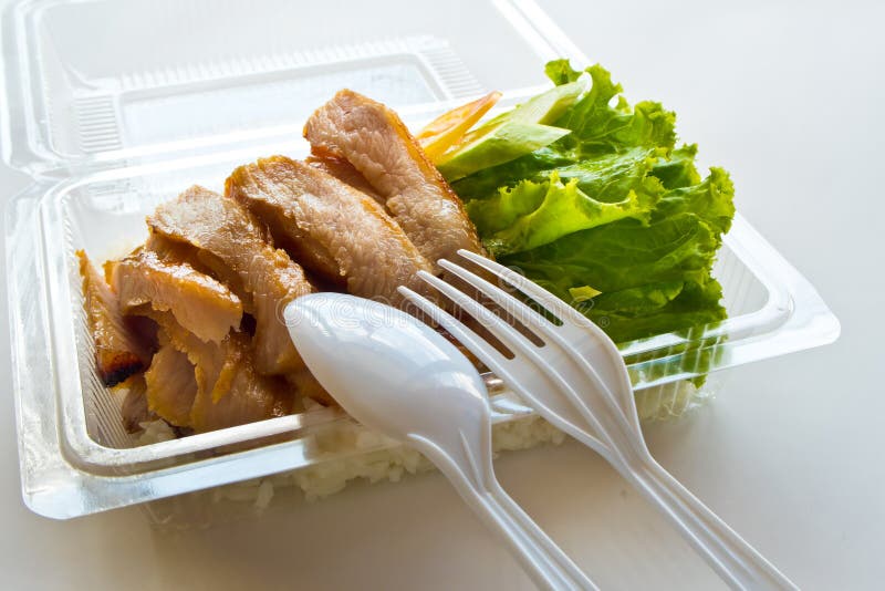 Roasted Pork in a Plastic Box Stock Image - Image of transparent, pork ...