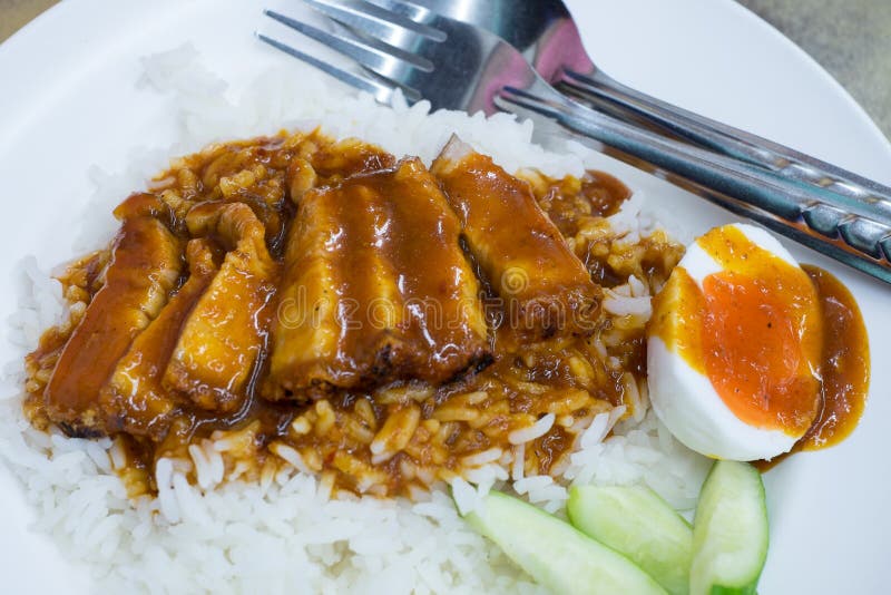 Rice roasted red pork stock image. Image of green, cooking - 54591929