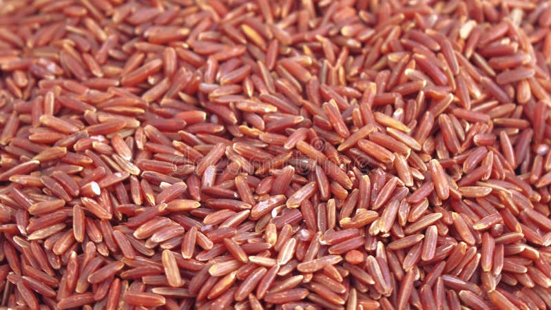 Red Kernel Rice in bulk stock video. Video of healthy - 112477533