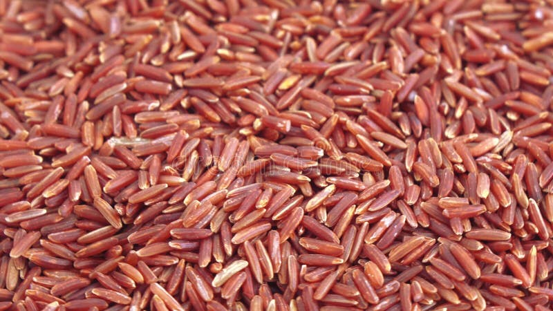 Red Kernel Rice in bulk stock video. Video of nutrition - 111115881