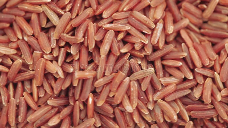 Red Kernel Rice in bulk stock video. Video of asian - 112486639
