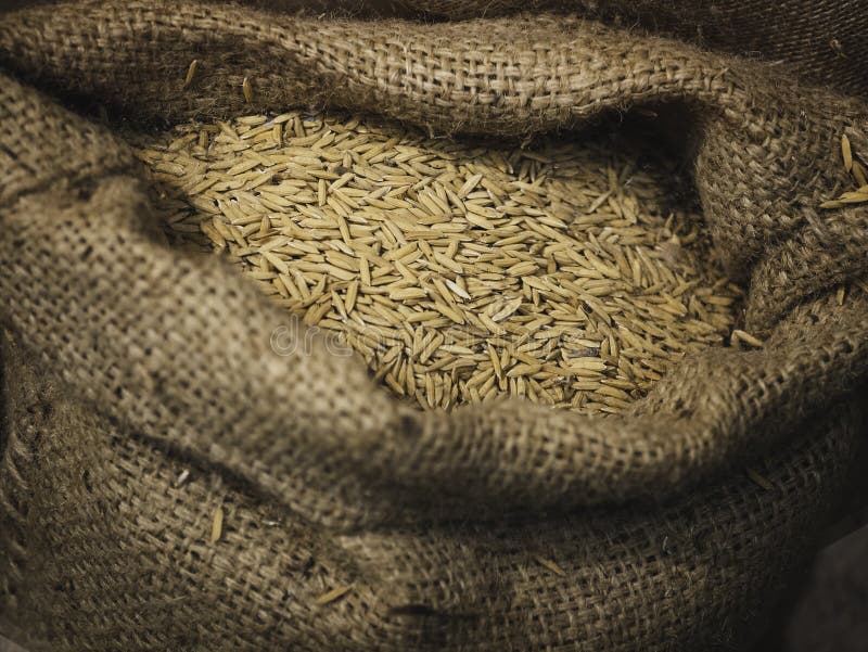 Rice in Sack Organic Rice Grain Healthy Food Stock Image - Image of ...