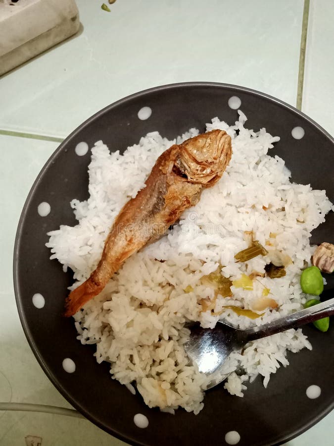 Rice with Salted Fish Named Ikan Asin Stock Image - Image of ikan ...