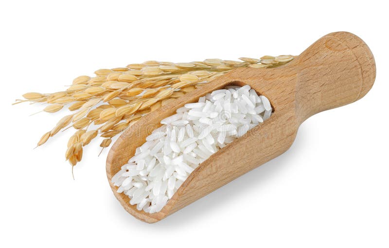 Rice in Scoop with Ears Isolated on White Background Stock Photo ...