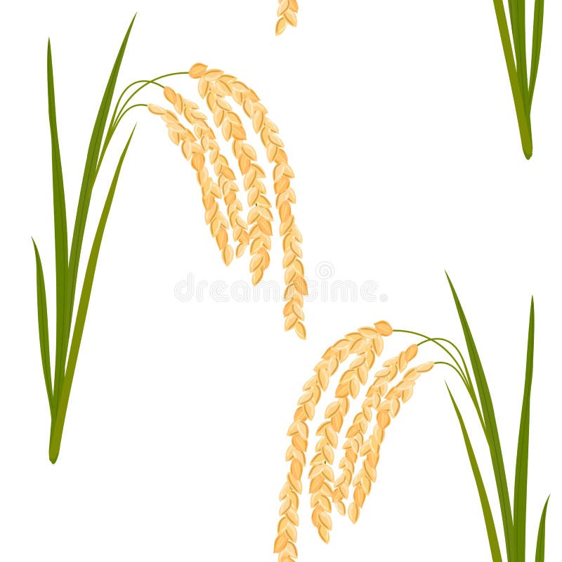 Rice seamless pattern stock vector. Illustration of flour - 76759746