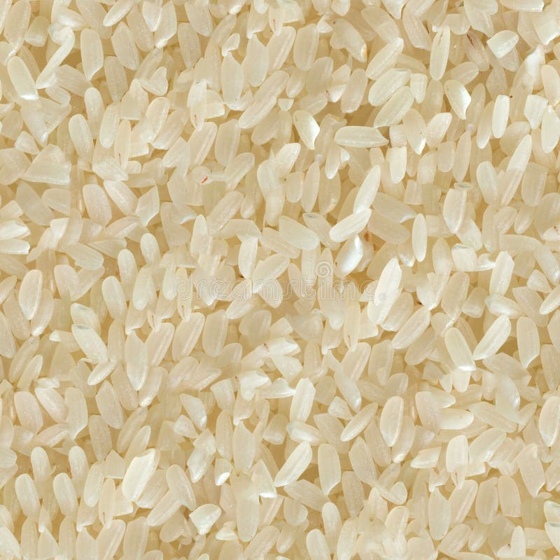 Rice. Seamless Tileable Texture. Stock Image - Image of agronomy ...