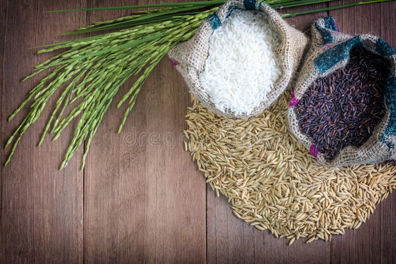 Rice seed stock photo. Image of heart, eating, dried - 62479606