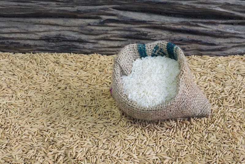 Rice seed stock image. Image of mixture, asian, natural - 62481281