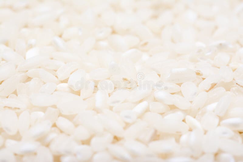 Rice Seeds Closeup stock image. Image of concept, cereal - 35724399
