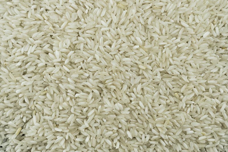 The rice seeds stock image. Image of harvest, white, granule - 63502929