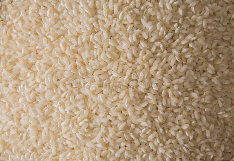 Rice stock photo. Image of cereal, eating, grain, sativa - 103698926