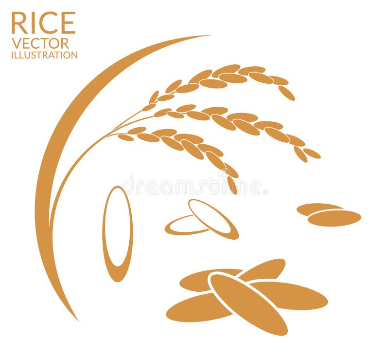 Rice stock vector. Illustration of wooden, food, grain - 9802534