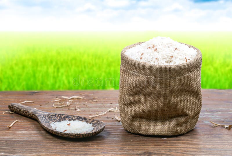 Rice in small sack stock image. Image of natural, tasty - 67079927