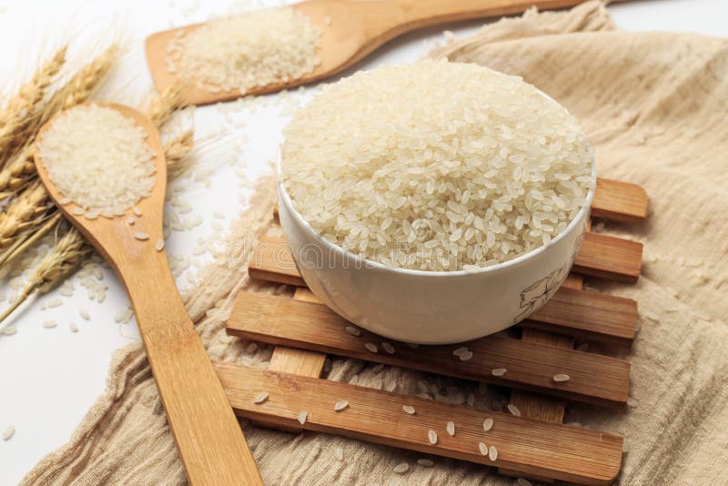 Harvested rice stock image. Image of hunger, grains - 112938275