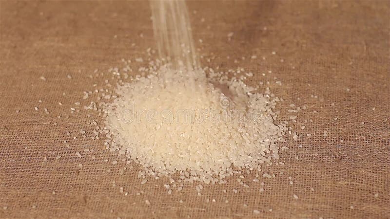 Rice Spilling on Burlap. Harvesting Stock Video - Video of grain ...