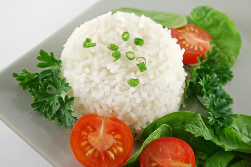 Rice Stack and Salad stock photo. Image of restaurant - 4091446